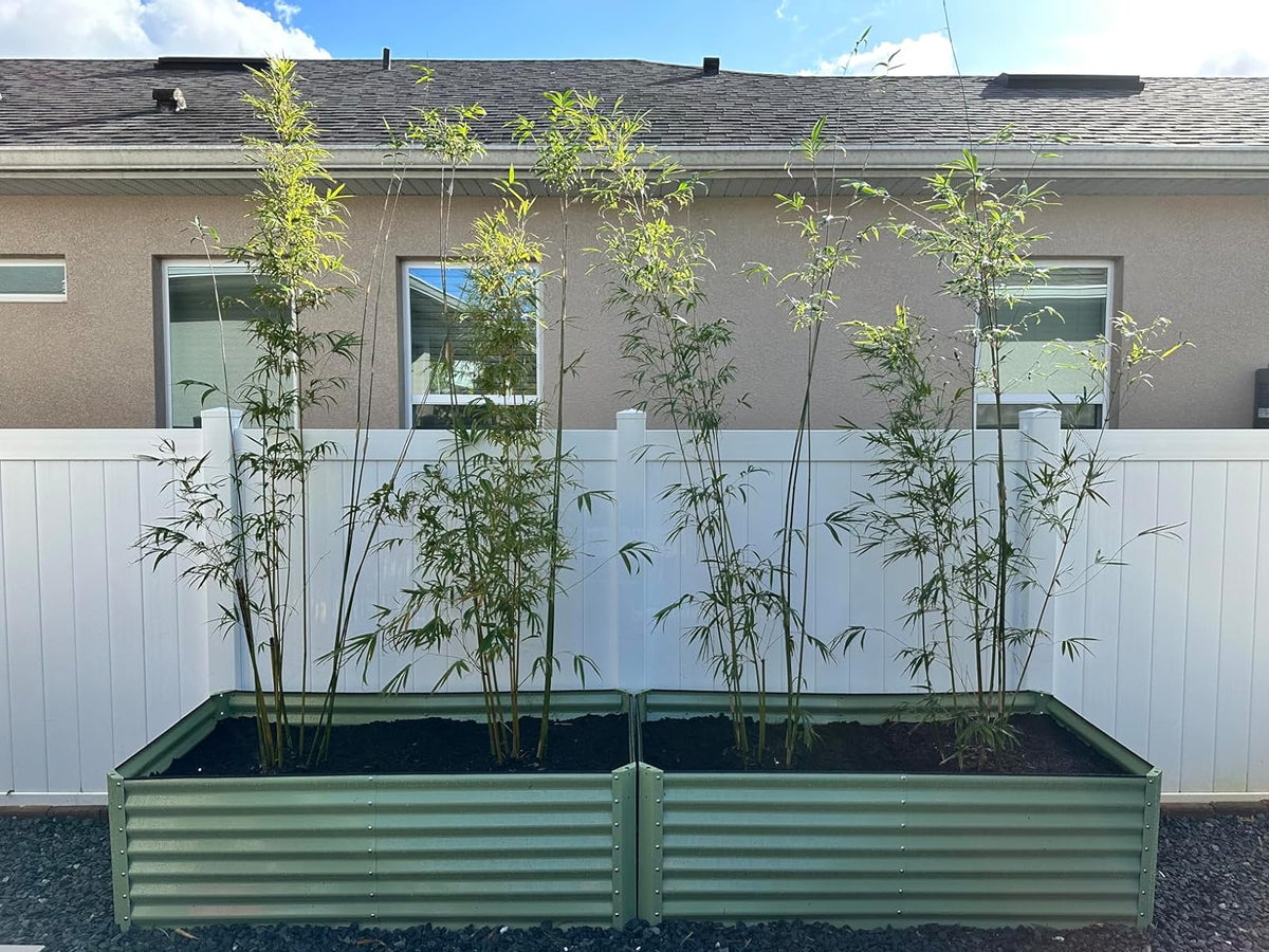 Transform Your Garden: Tips for a Clutter-Free Oasis – SavanaGarden