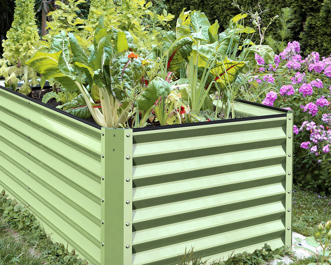 Sky-High Harvest: Hydroponics in Raised Beds – SavanaGarden