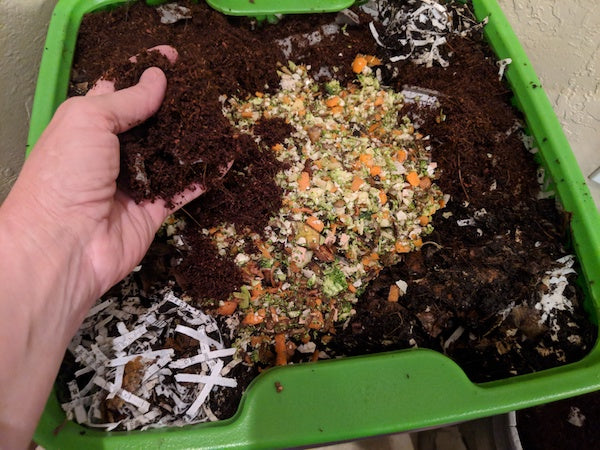 Composting Made Easy: A Beginner's Guide – SavanaGarden