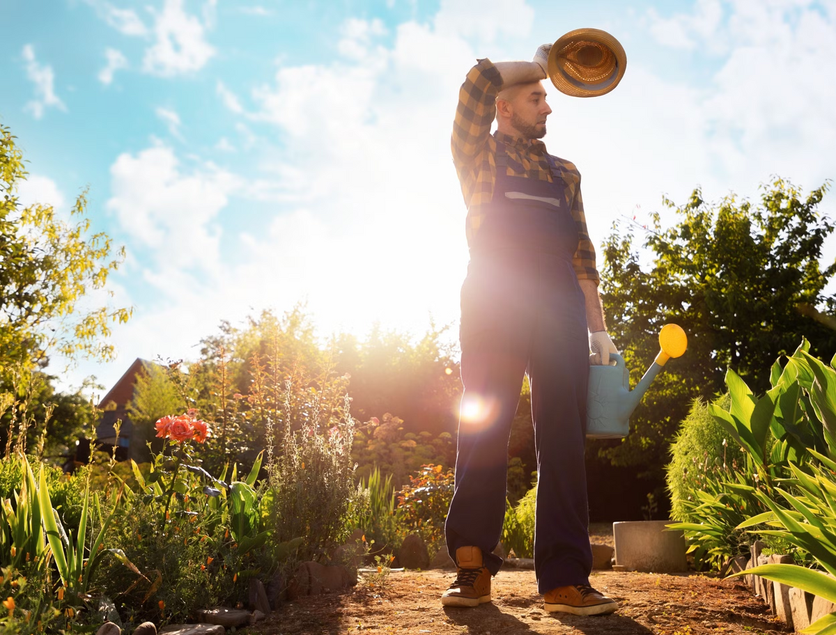 How to Shield Your Vegetable Plants from the Stress of a Summer Heatwa ...