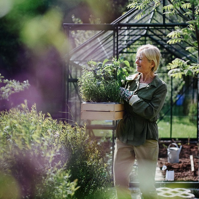 Succession Planting in Raised Beds: Continuous Harvesting and Maximizi ...