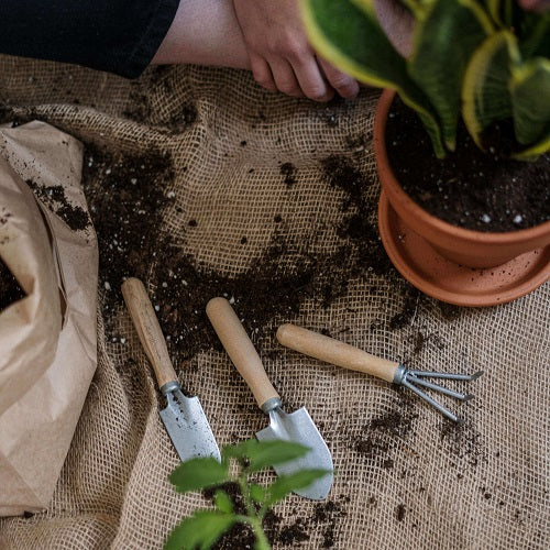 Leaf cover and wood cover: everything you should know – SavanaGarden