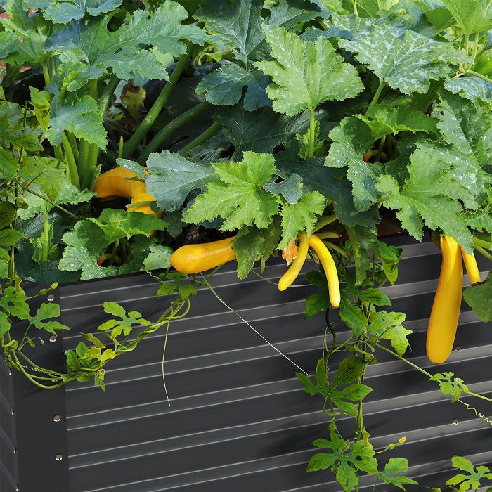 How to enhance the protection of low-maintenance hedge gardens ...